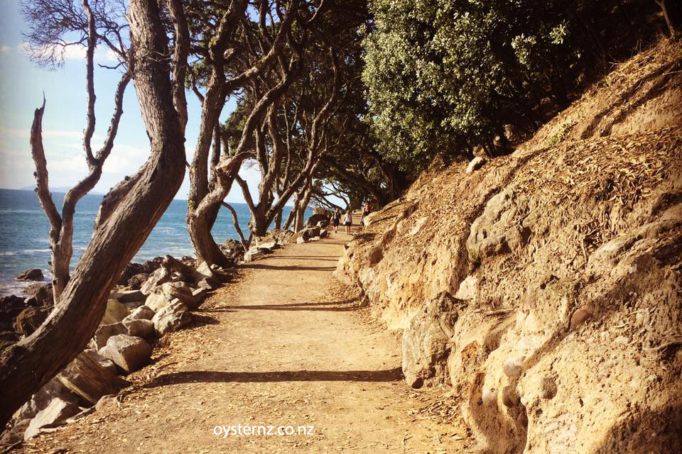 Mount Maunganui, commonly known by locals as The Mount! – Grab your ...
