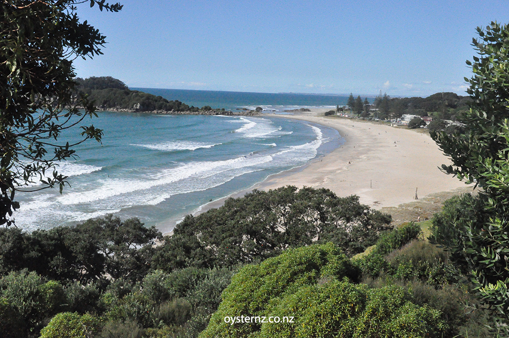 Mount Maunganui, commonly known by locals as The Mount! – Grab your ...