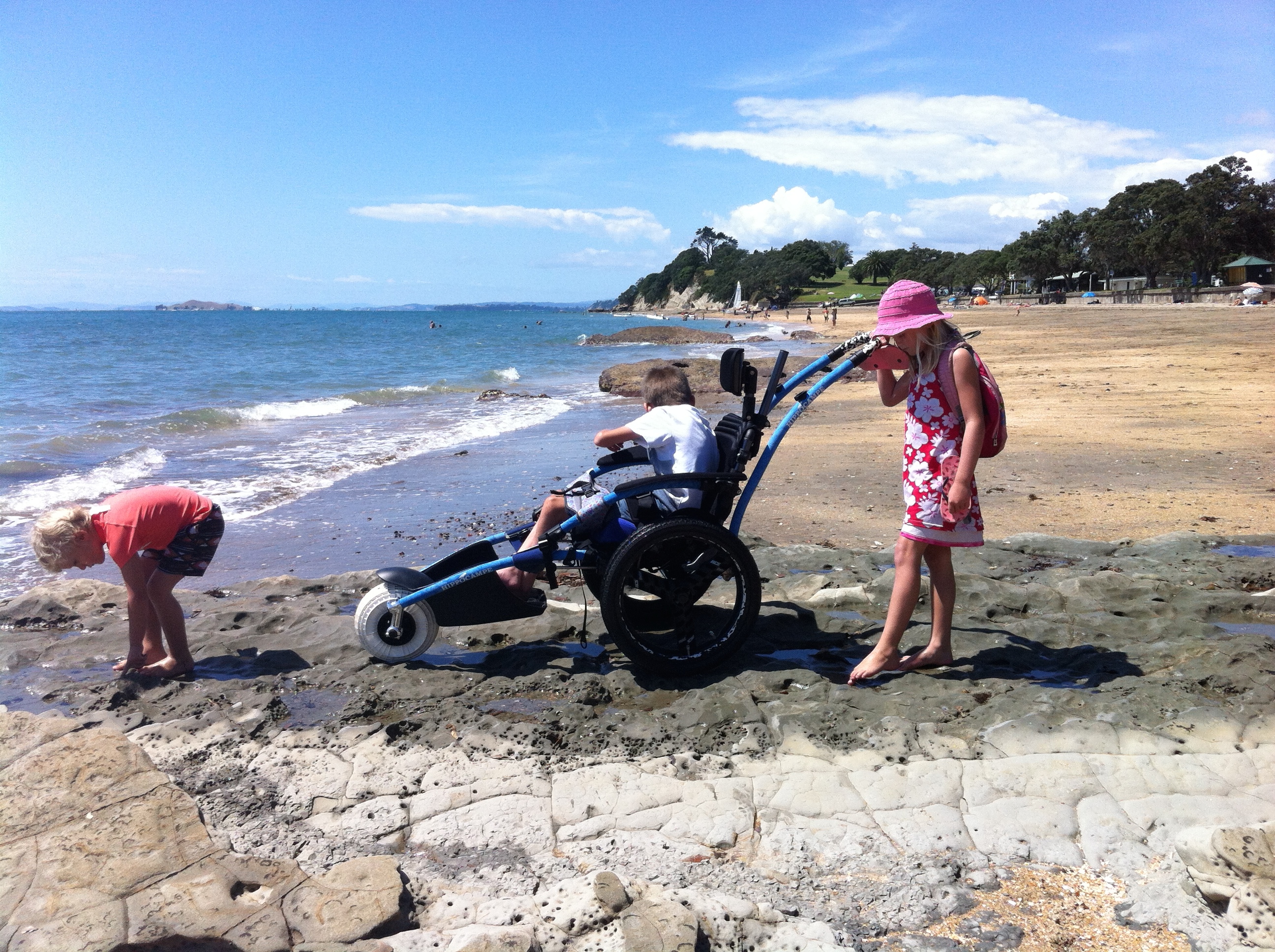 Beachcombing on Narrow Neck Beach – Grab your wheels, Let's travel