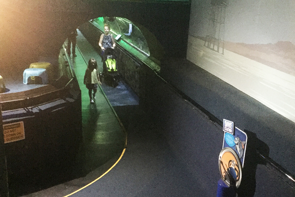 Coming from Travelator – Grab your wheels, Let's travel