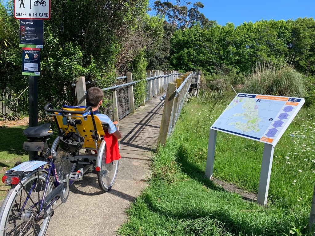 The Duet Tandem Wheelchair Bike | Our Review – Grab your wheels, Let's ...